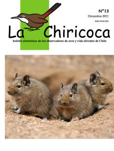 Revista - La Chiricoca